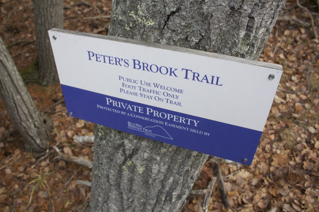 1-minute hike: Peter's Brook Trail in Blue Hill