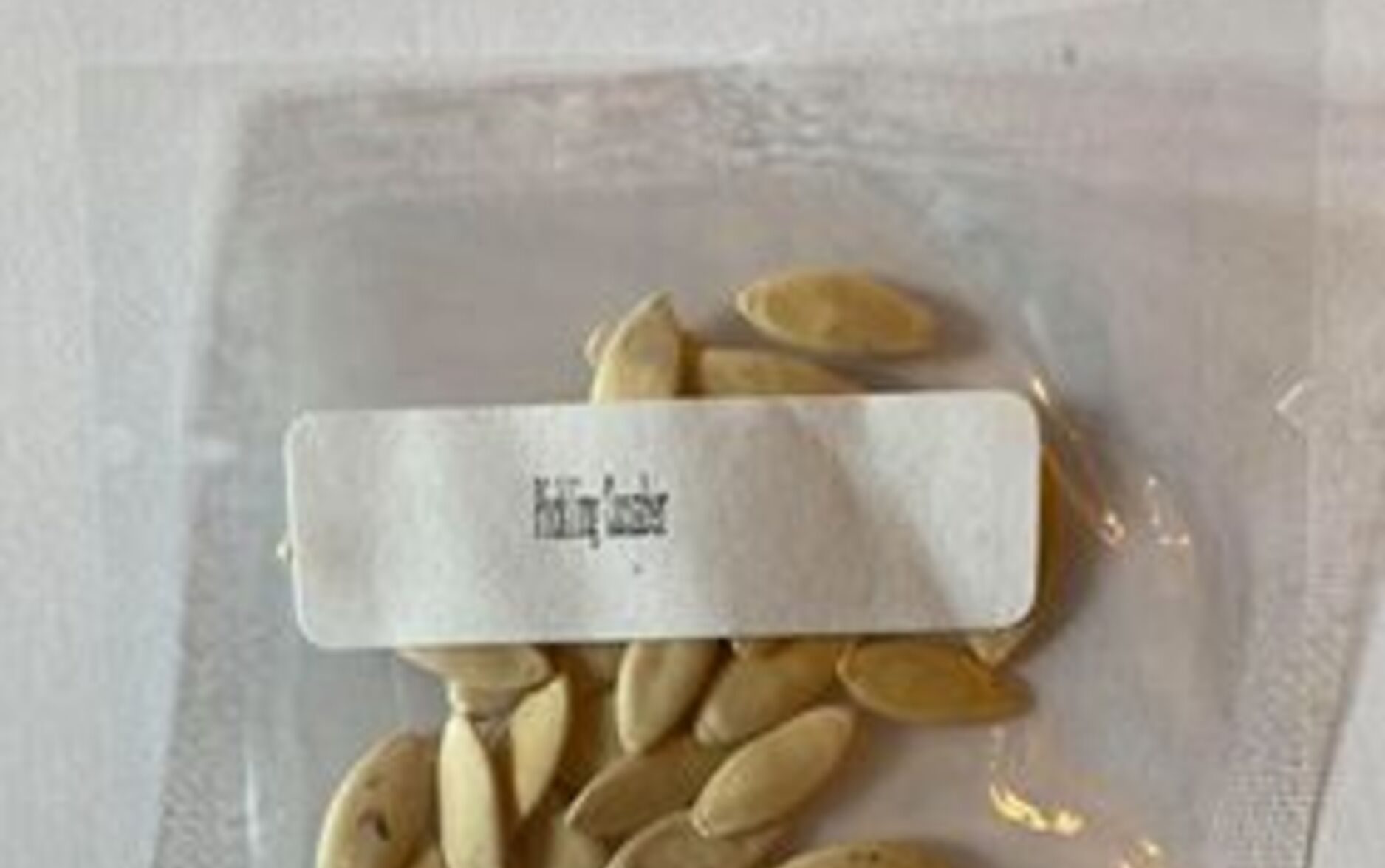 Beware of unsolicited seed packets from China arriving in Maine