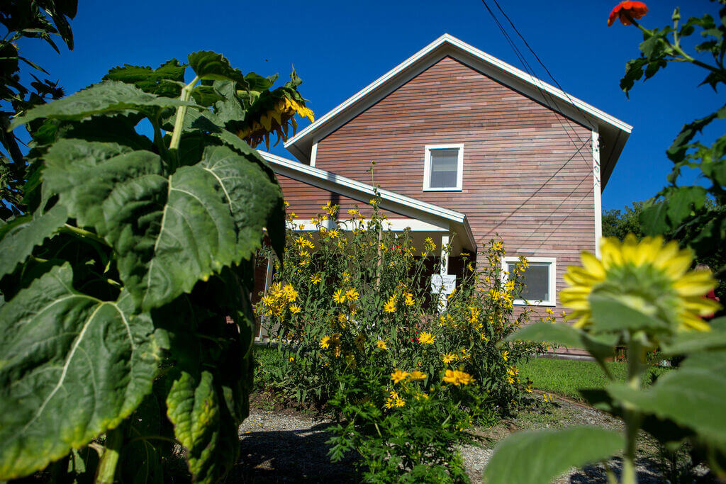 10 ways to make your home more environmentally friendly