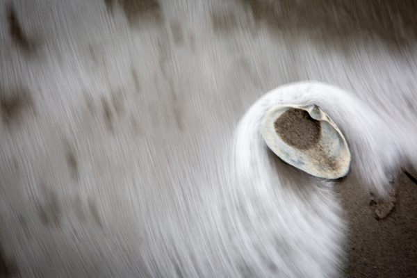 The true story of Lydia Carver, Maine's famous ghost bride