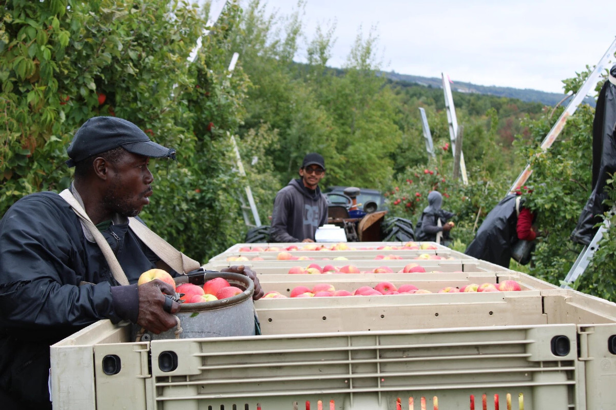 Susan Collins and Angus King need to support farm workforce reform bill