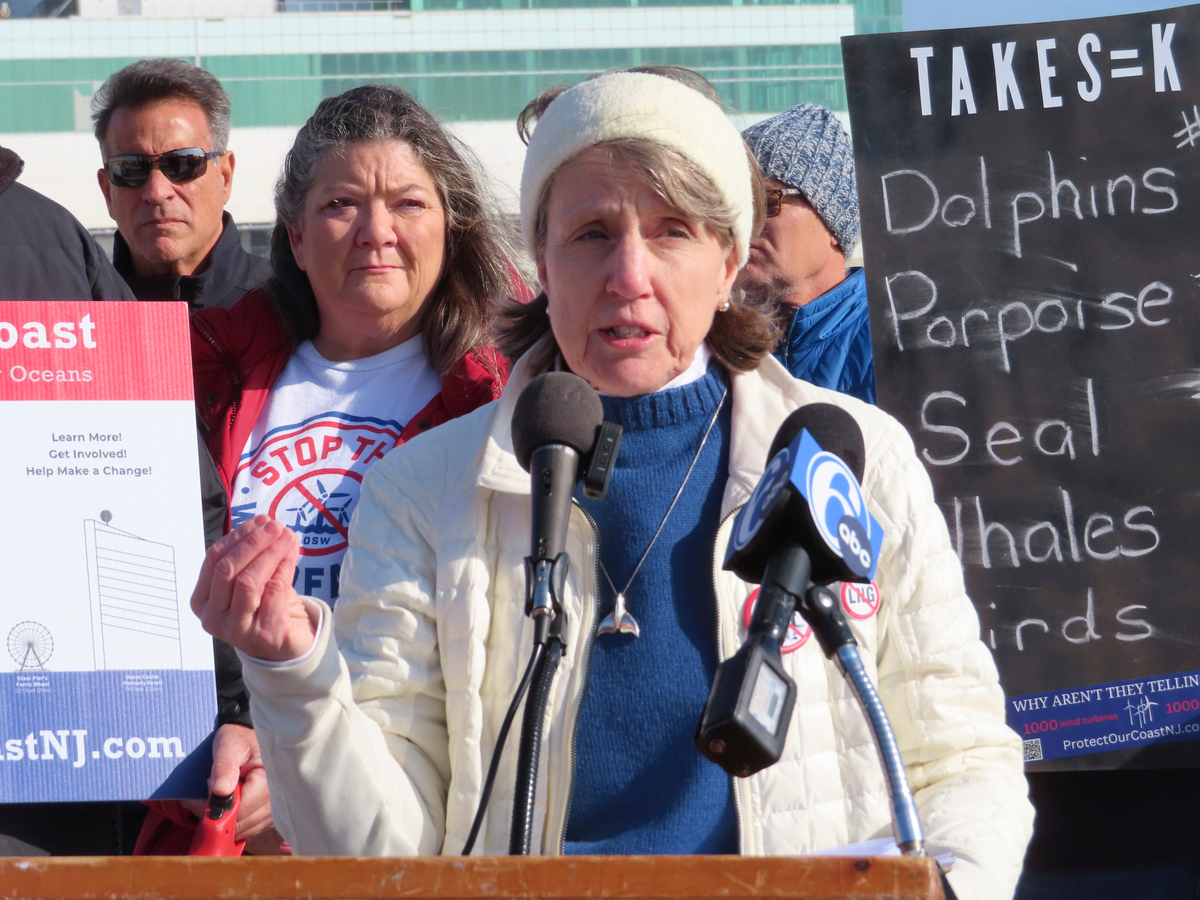 Groups seek probe of whale deaths amid wind power prep