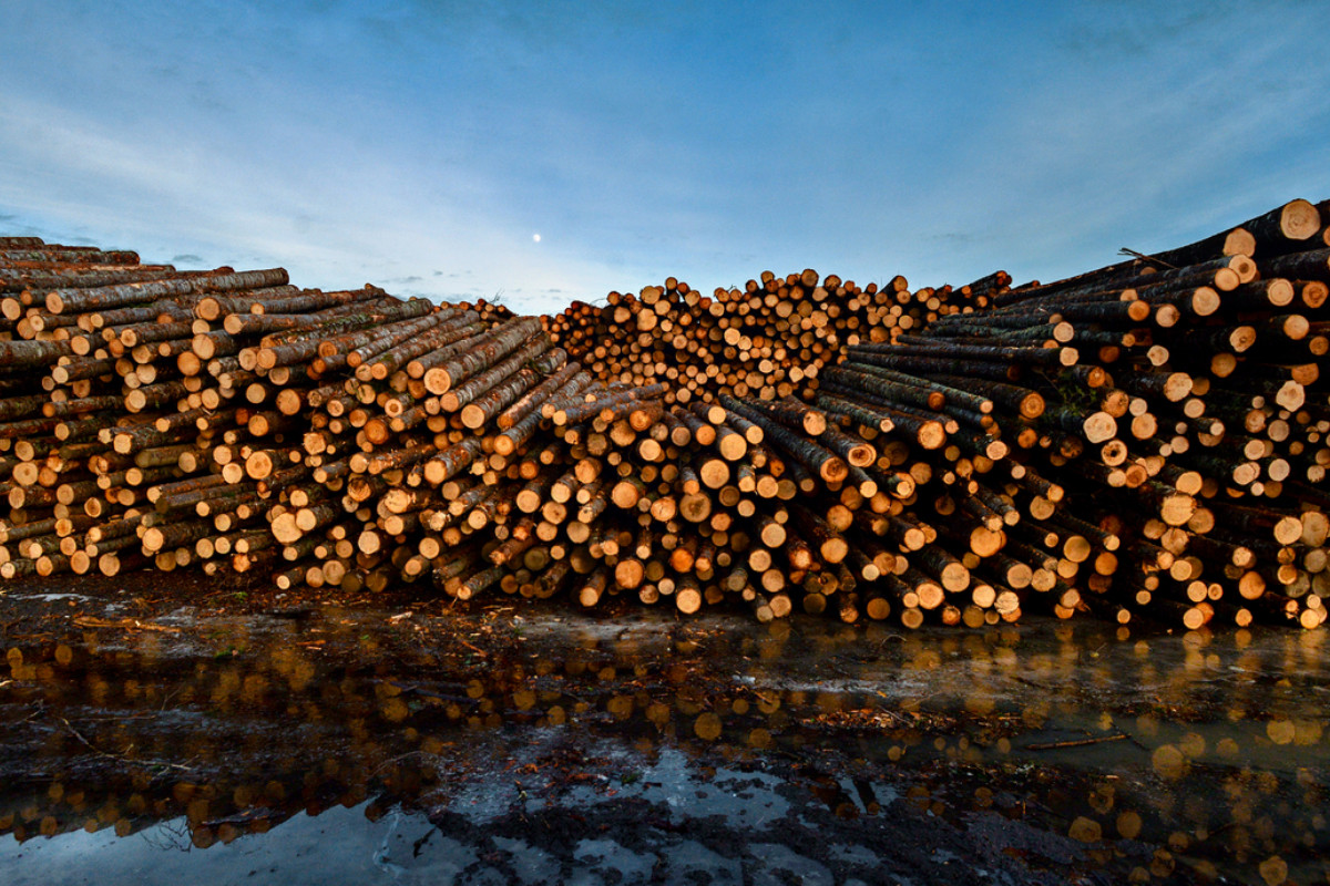 How condos built decades ago in Portland began a battle for Maine’s ...