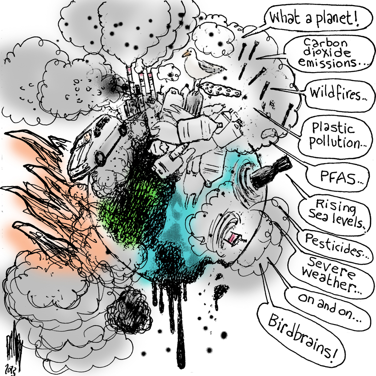Environmental disaster