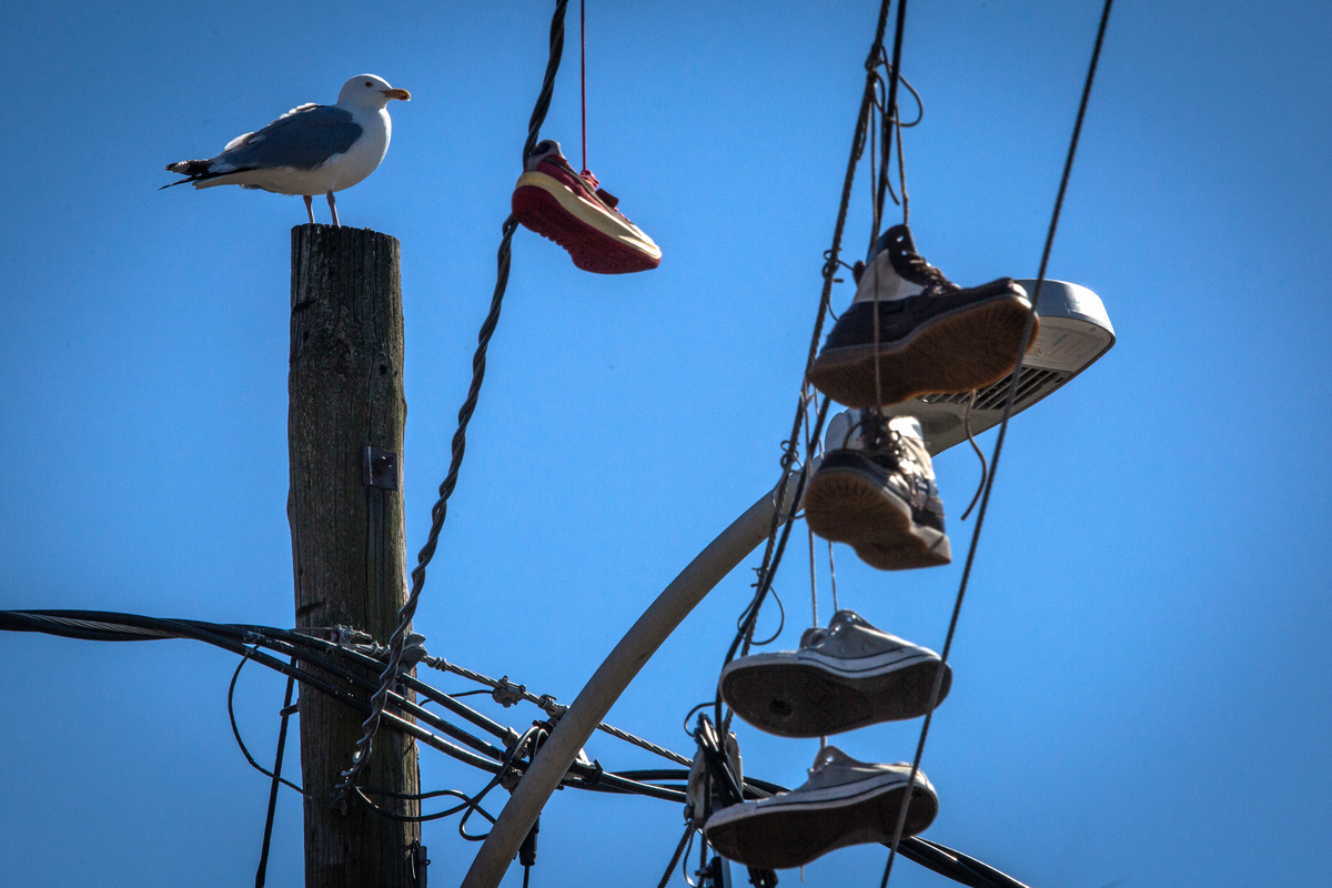 Woman seriously injured after crash sends utility pole through her ...