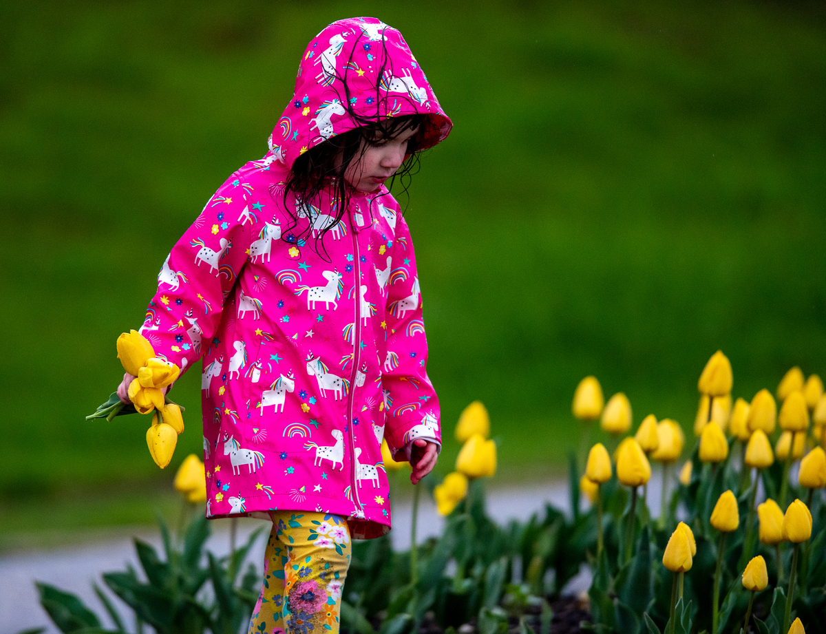 More rain showers and clouds expected in Maine Friday, but sun returns soon