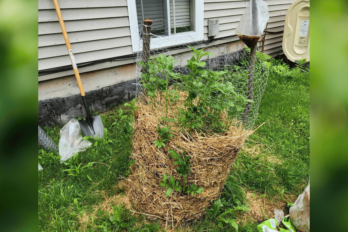 Garden Potato Tower