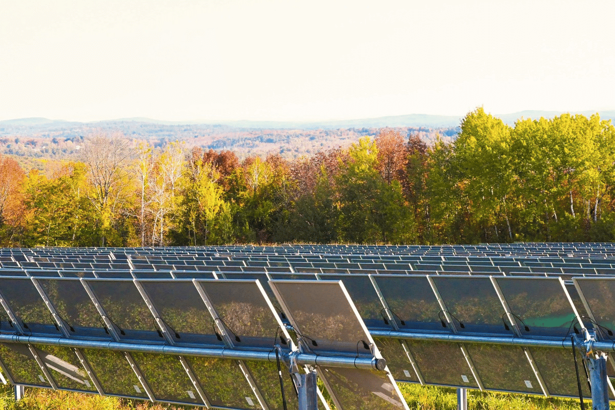 Maine Senate passes solar industry-backed bill to shave generous incentives