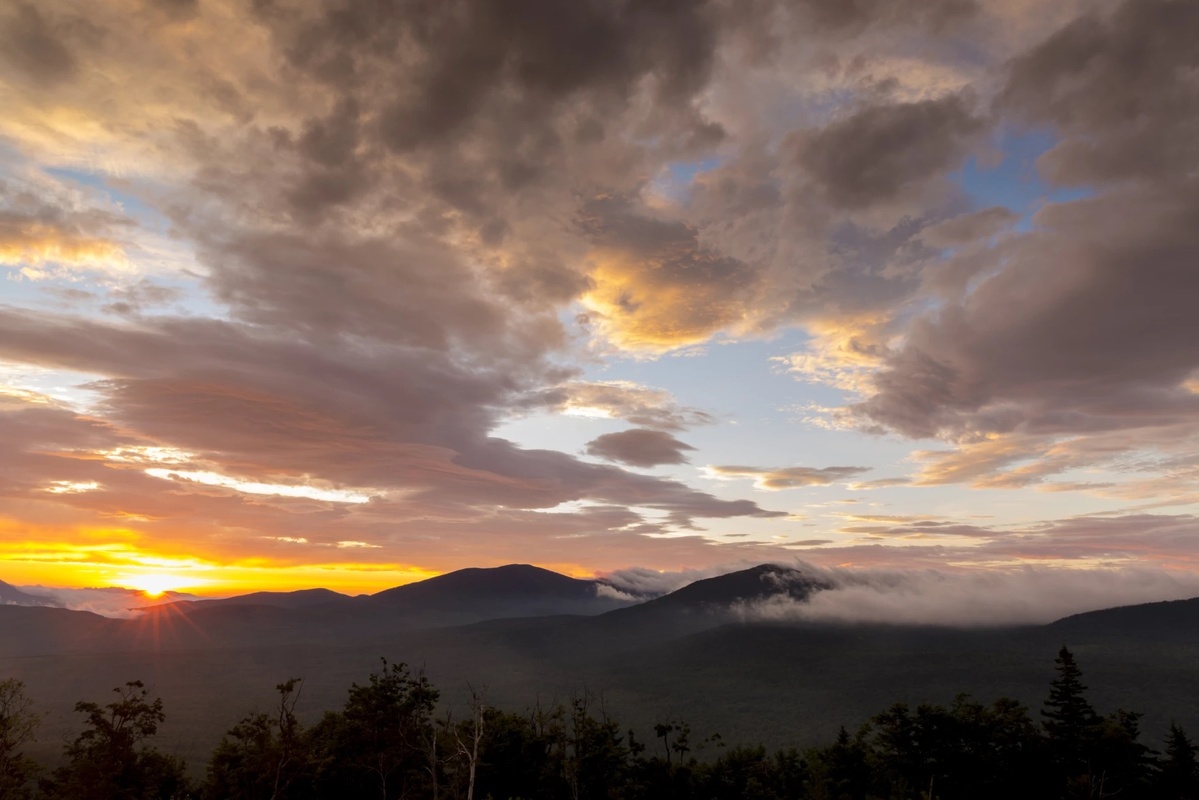 Federal program that's helped protect Maine forests reaches milestone ...