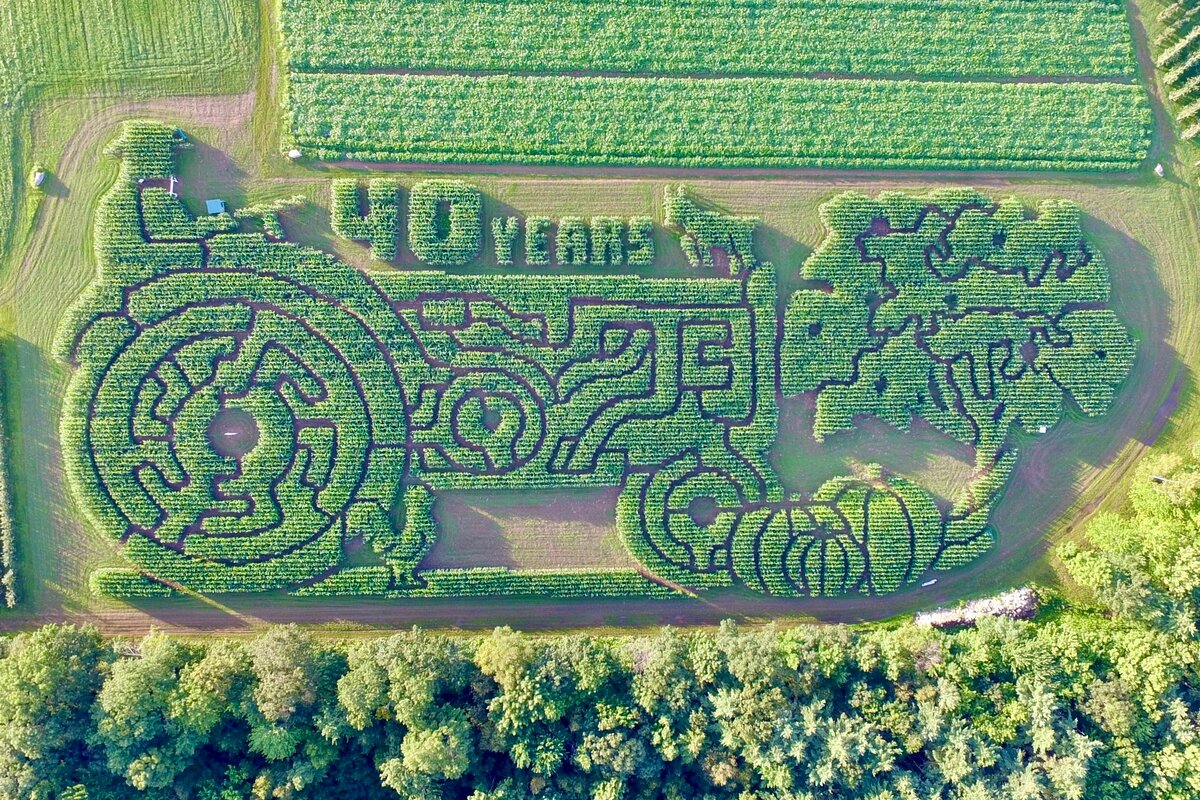 Photos: The Treworgy corn maze through the years