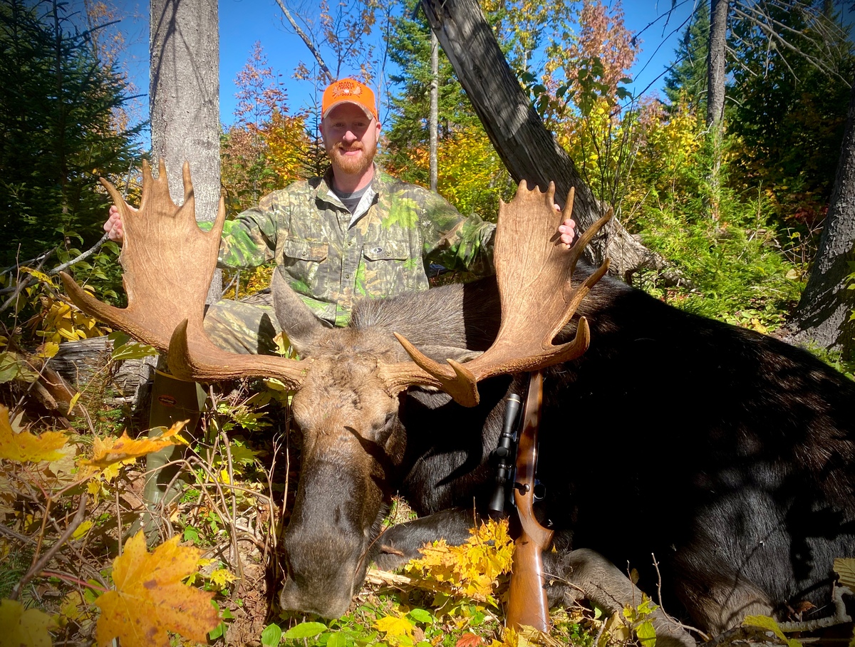 Warm weather could be a factor in Maine’s 42nd moose hunt
