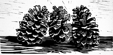 GETTING STARTED WITH RELIEF PRINTING - Bangor Daily News