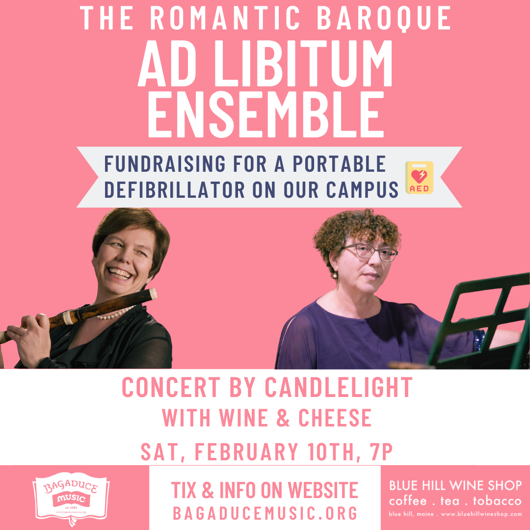 Bagaduce Music presents the Ad Libitum Duo in a Valentine's concert