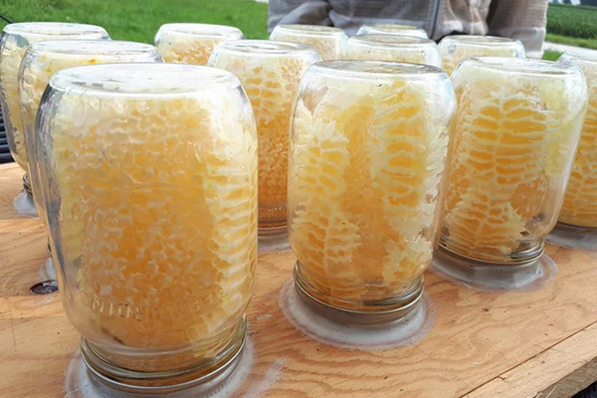 Using Mason jars may be the ultimate DIY honey beehive project
