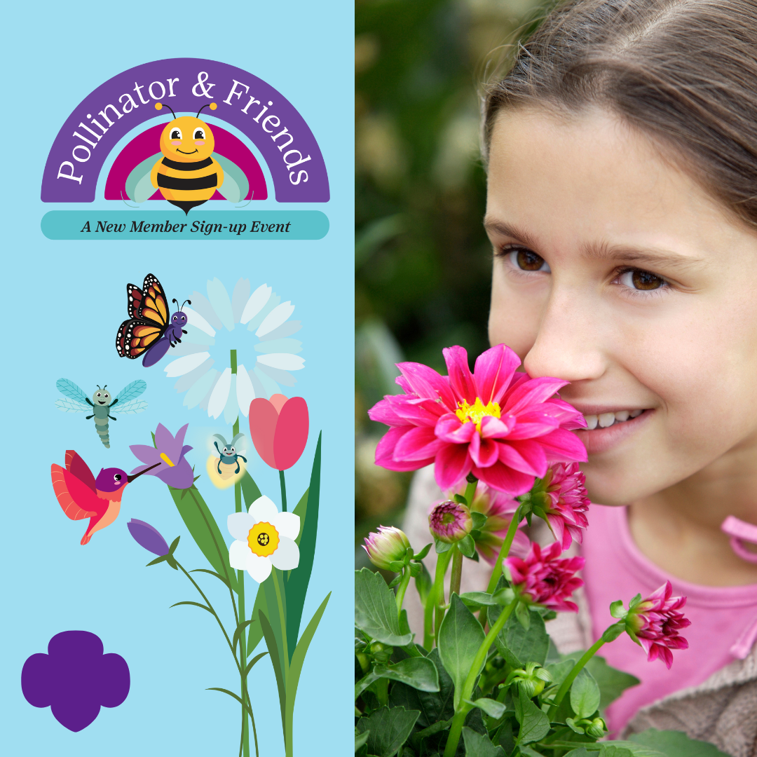 Limestone Pollinator & Friends: A Girl Scout Information & Sign-Up ...