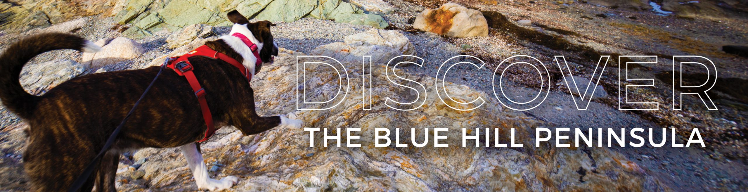 Discover the Blue Hill peninsula 2024 - Bangor Daily News