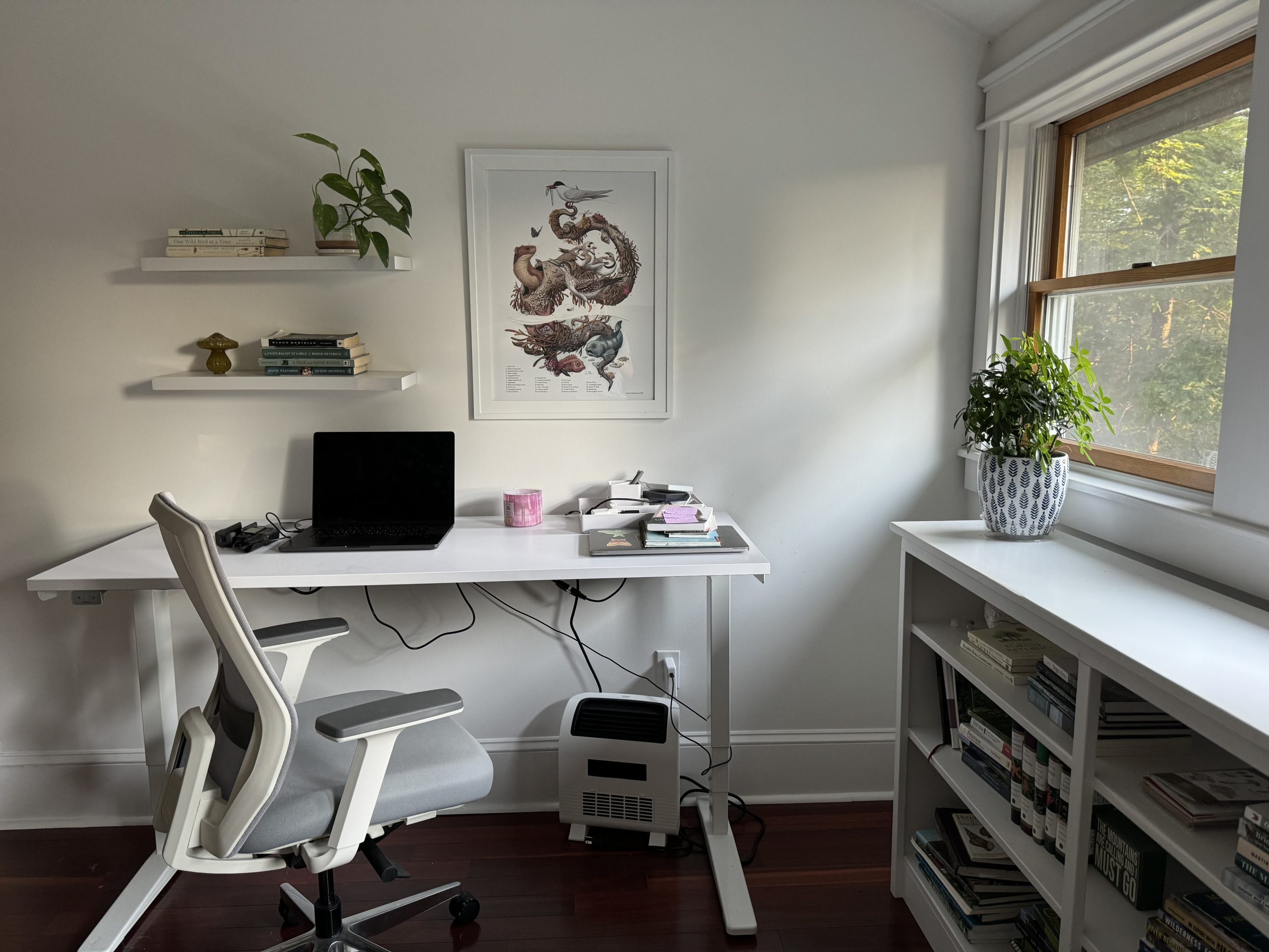 Transform your at-home office: easy, affordable ways to spruce up your ...