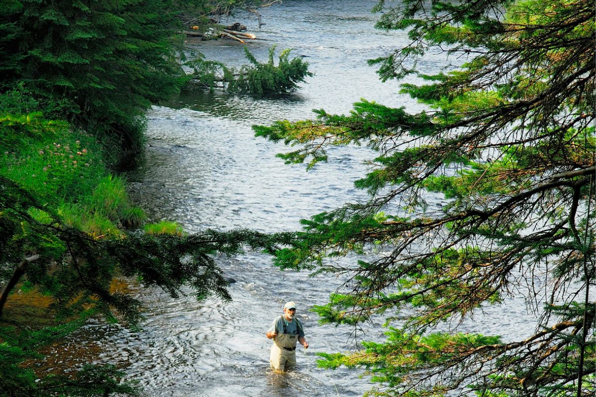 Why I keep returning to this Maine river after 40 years